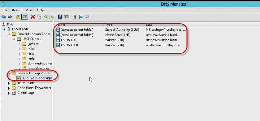 Difference between forward and reverse lookup dns query - plminvestments Difference between forward and reverse lookup dns query - plminvestments